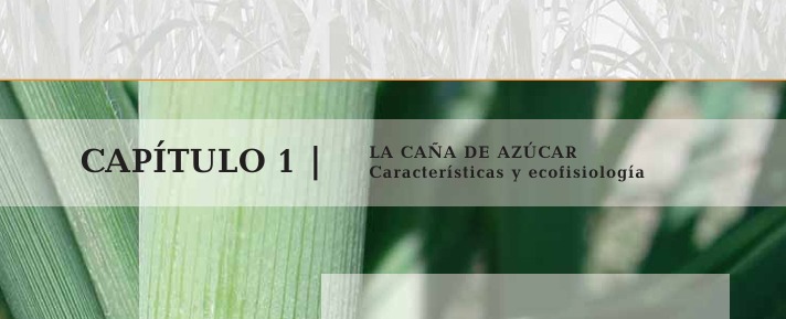 Manual del Cañero - Estacion Experimental Agroindustrial Obispo Colombres